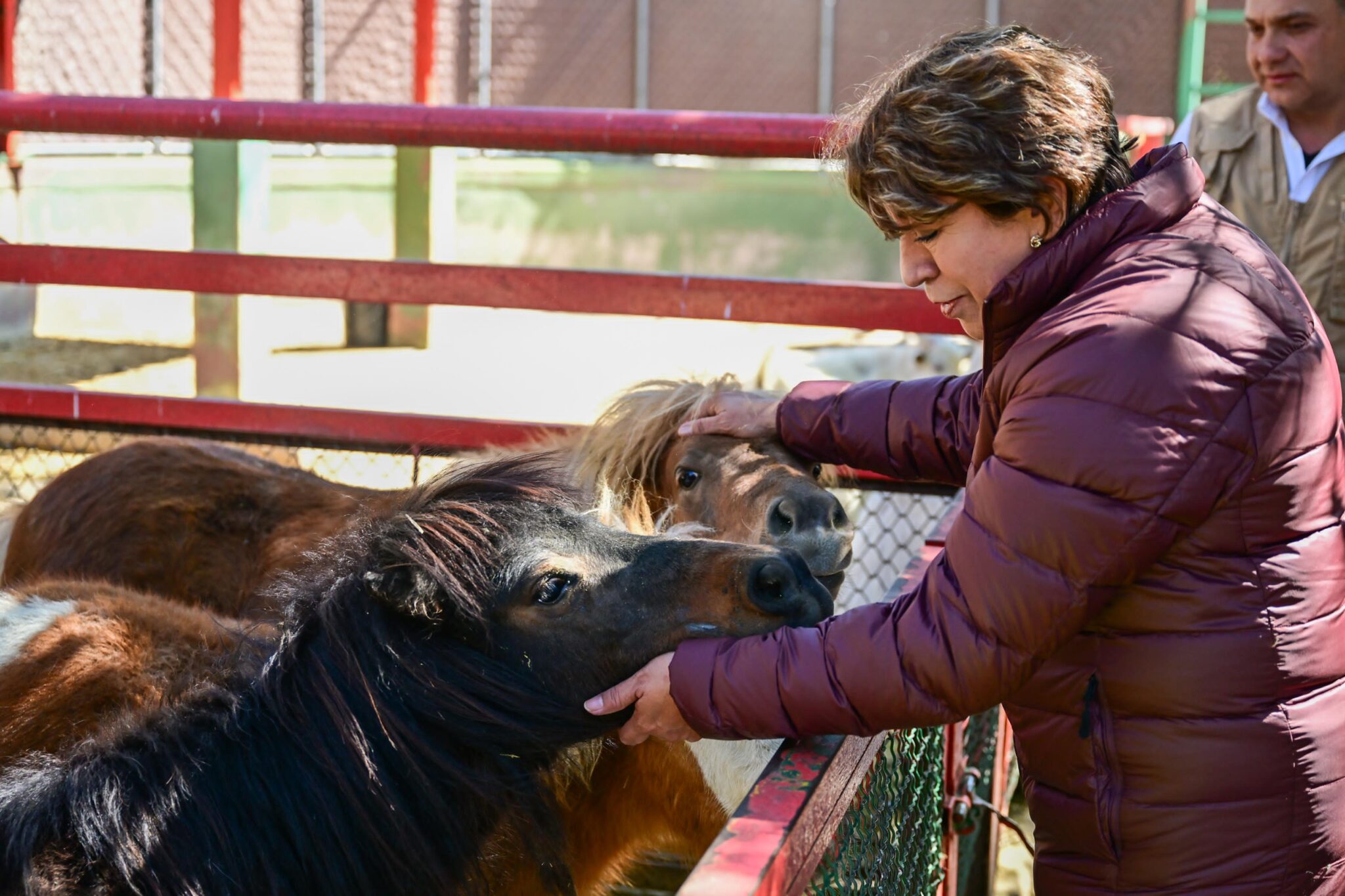 Visita Gobernadora Delfina Gómez el Zoológico Parque del Pueblo en ...